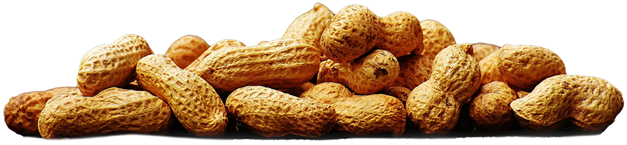 Growers | Alabama Peanut Producers Association