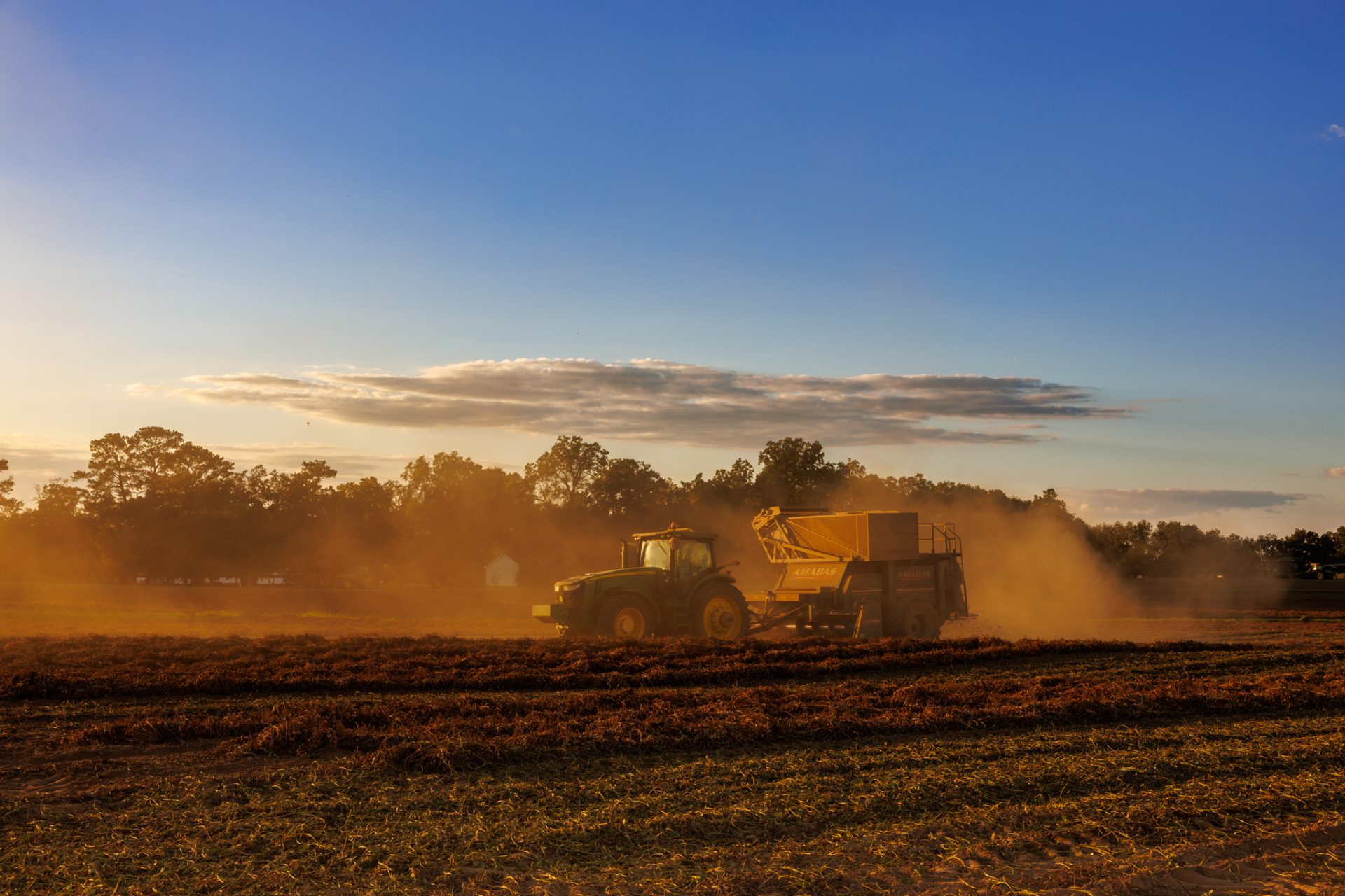 USDA Announces Commodity Payment Rates for Farmer Bridge Assistance ...